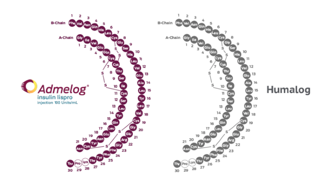 ADMELOG® (insulin lispro injection) 100 Units/mL vs Humalog | Structure ...